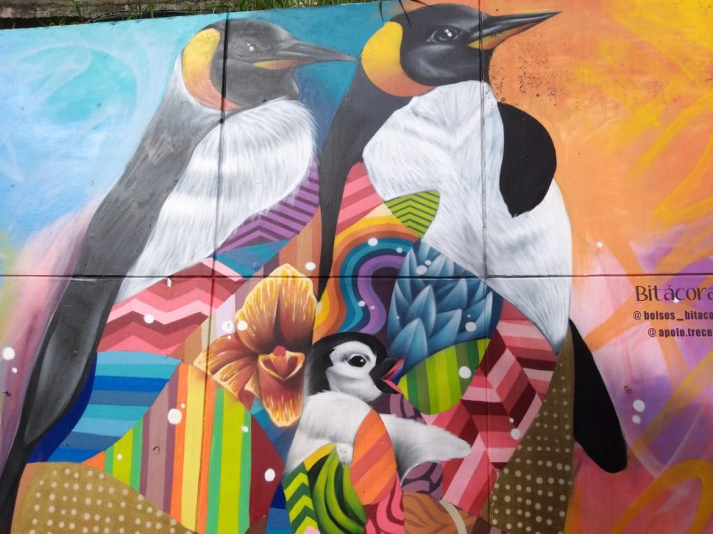 Crecimos en una sociedad que estigmatiza. Medellín Comuna 13